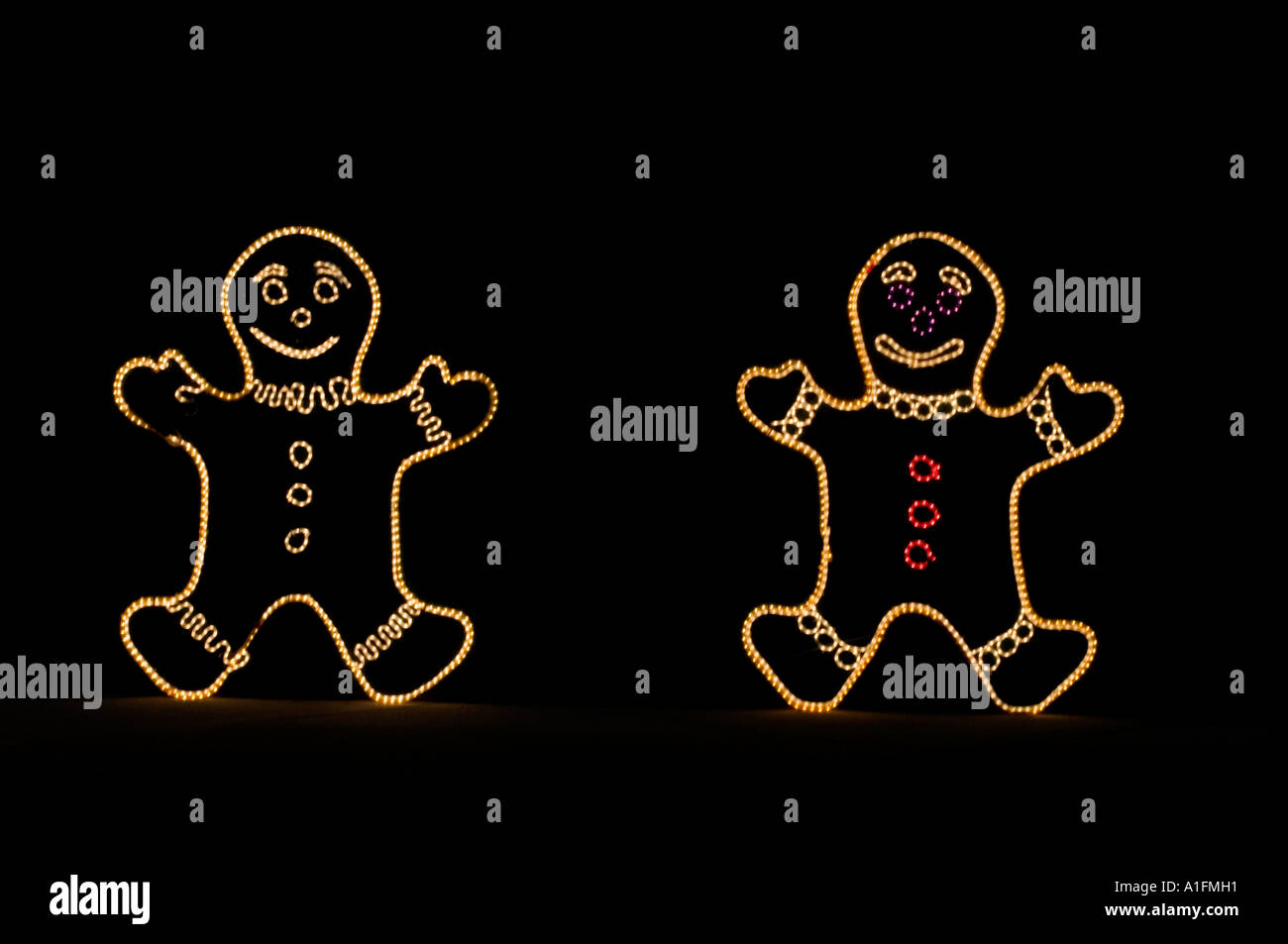 River of Lights a holiday light show at the Rio Grande Botanical Garden ...