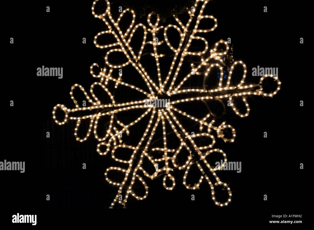 River of Lights a holiday light show at the Rio Grande Botanical Garden ...