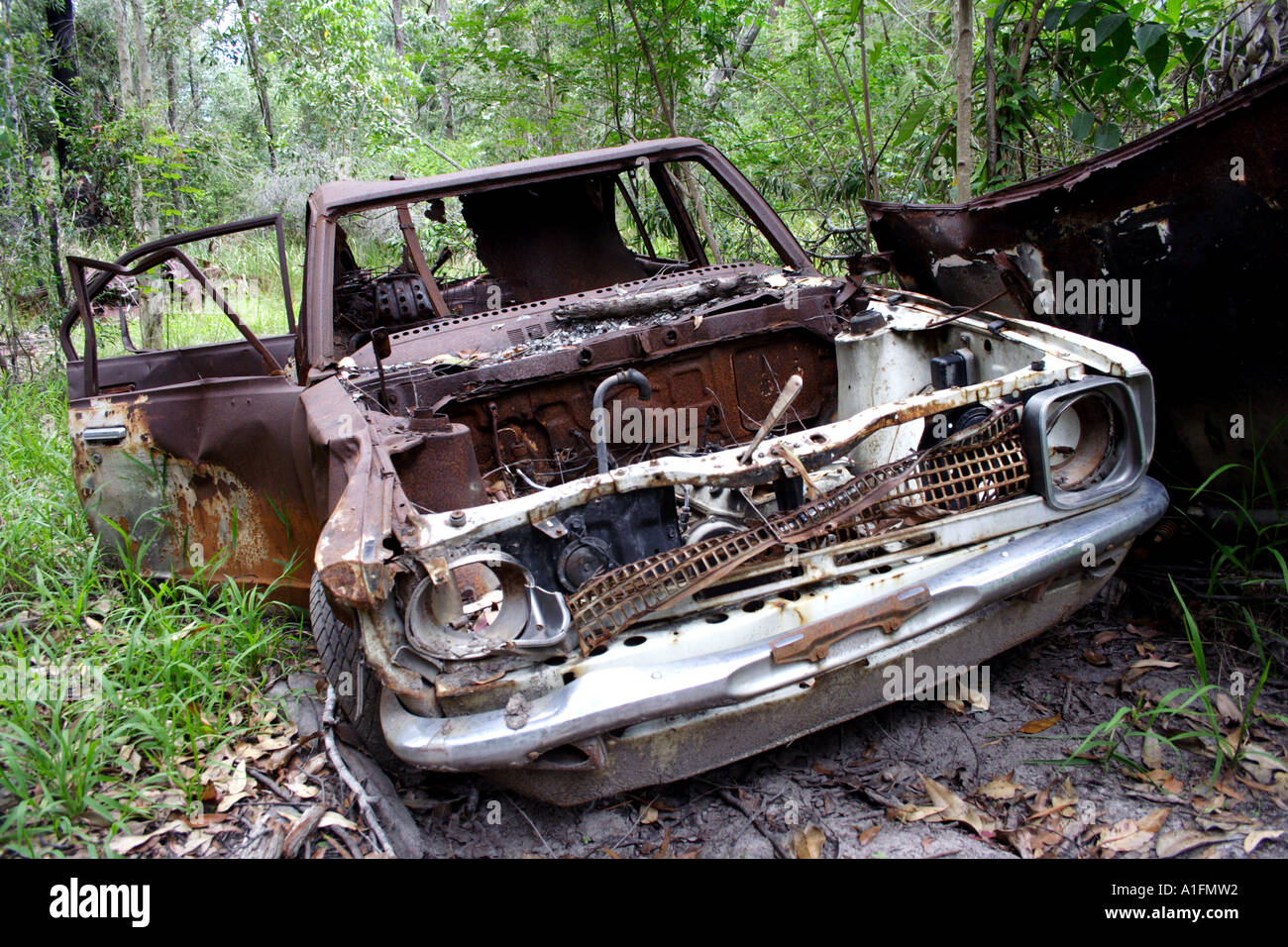 BURNT OUT SMASHED MOTOR VEHICLE DUMPED IN BUSH Stock Photo - Alamy