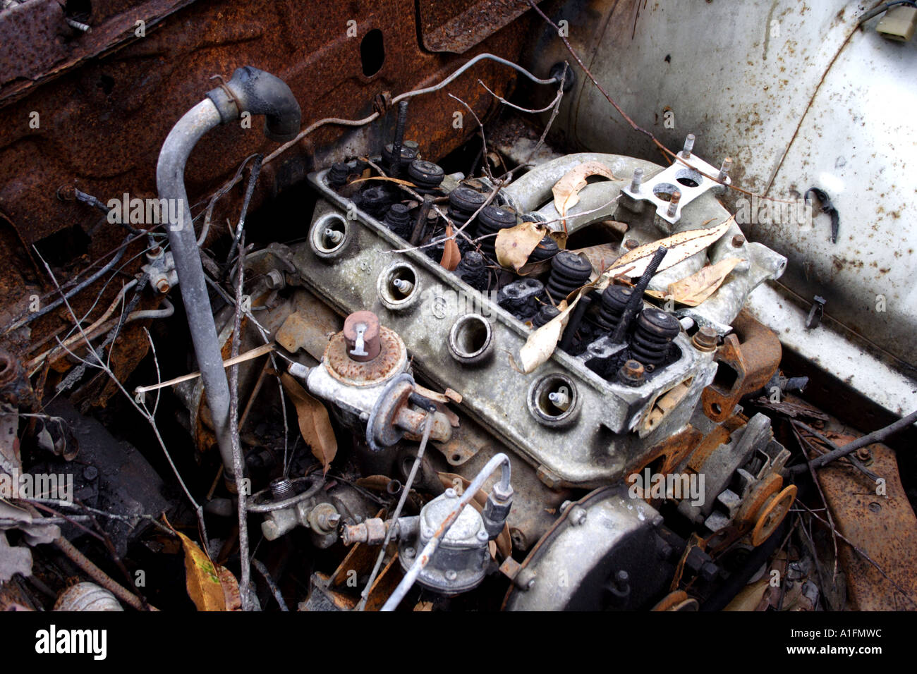 BURNT OUT SMASHED MOTOR VEHICLE DUMPED IN BUSH Stock Photo - Alamy
