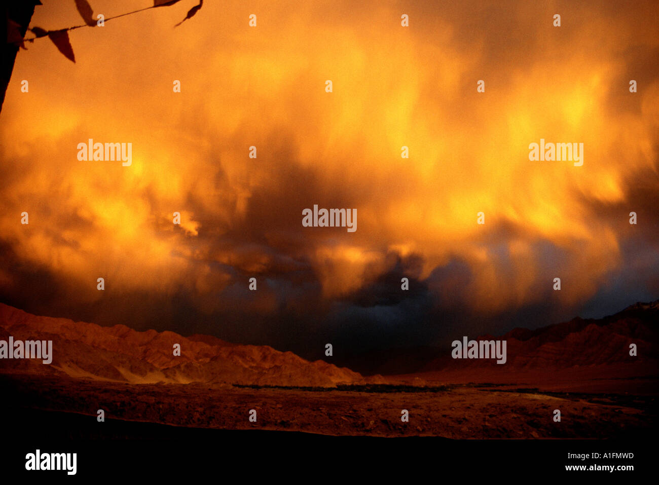 The colours of nature Stock Photo - Alamy