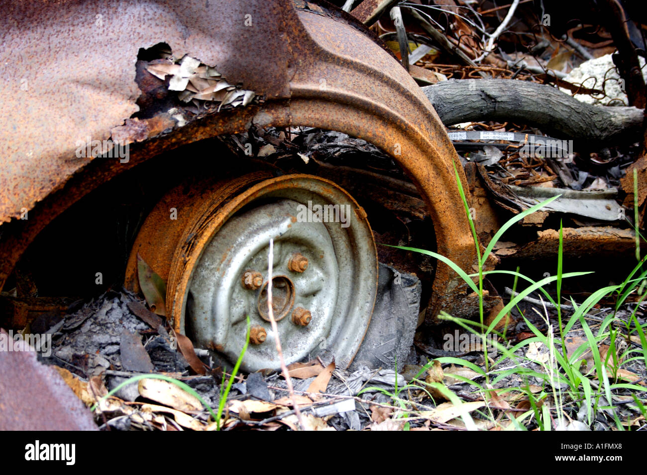 BURNT OUT SMASHED MOTOR VEHICLE DUMPED IN BUSH Stock Photo - Alamy