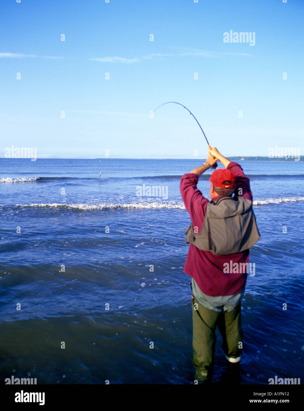 Fly fisherman playing a Sockeye Salmon on Kalgin Island Alaska Stock ...