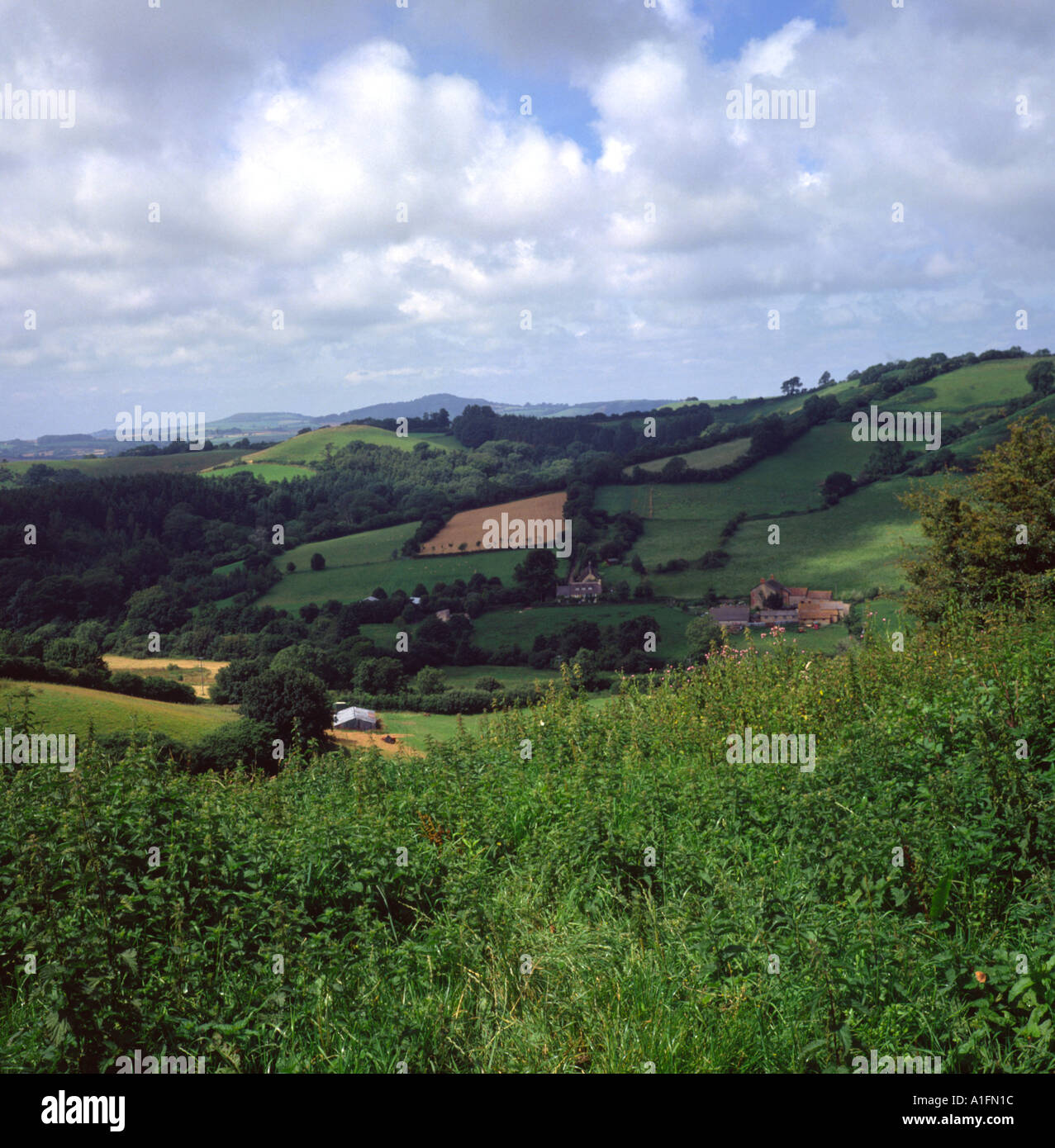 Countryside Somerset England High Resolution Stock Photography and ...