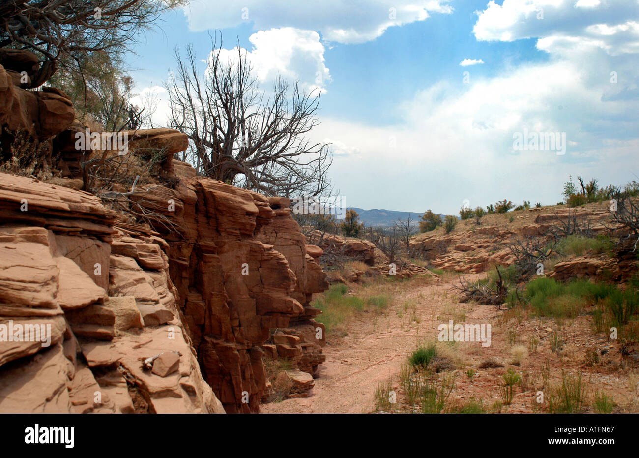 Arroyo flood hi-res stock photography and images - Alamy