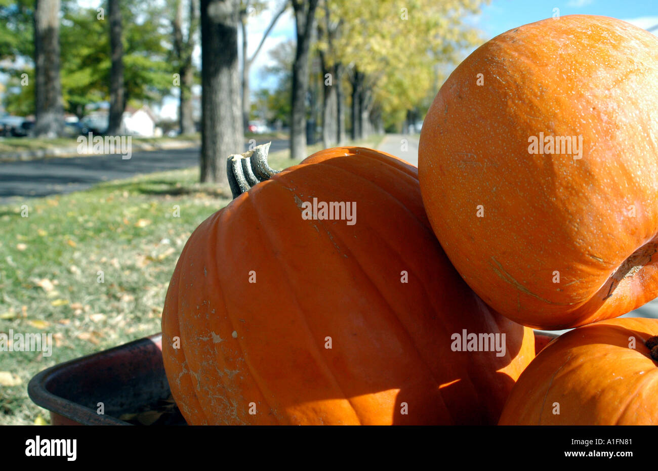 Albuquerque autumn fall hi-res stock photography and images - Alamy