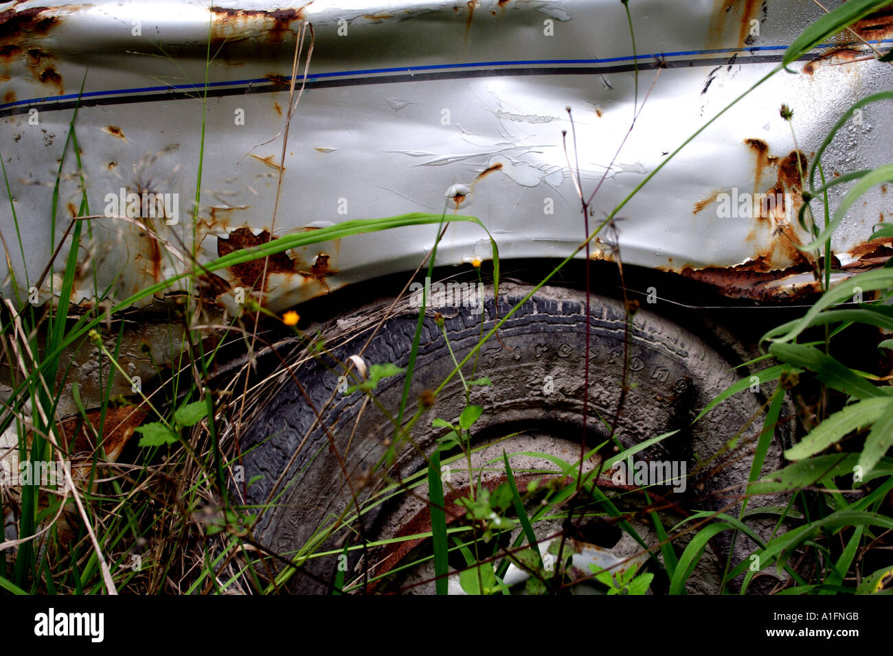 RUSTY OLD CARS DUMPED IN THE BUSH Stock Photo - Alamy