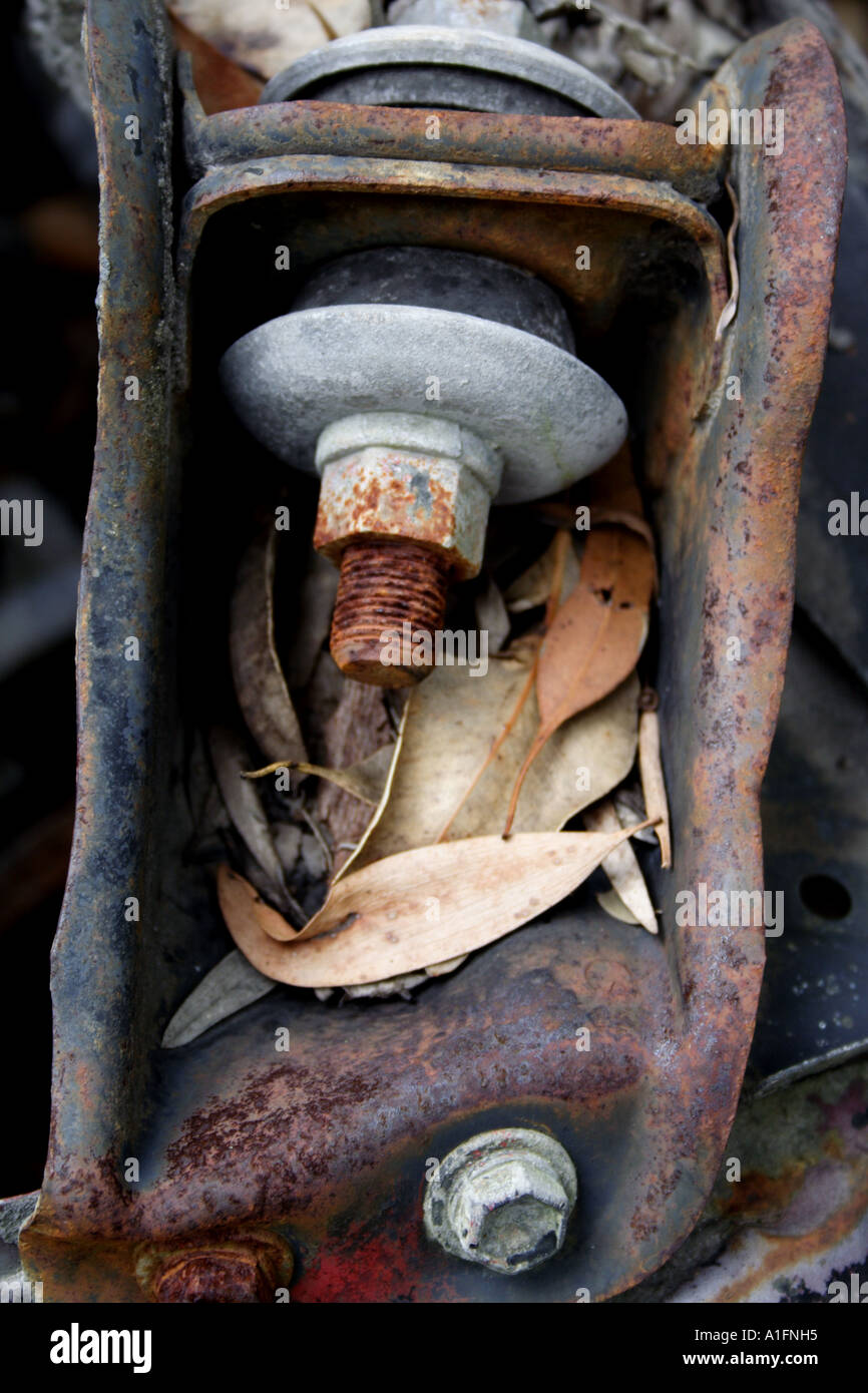 RUSTY OLD CARS DUMPED IN THE BUSH Stock Photo - Alamy