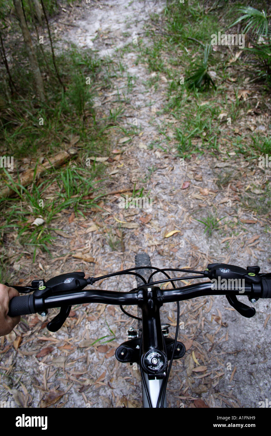 Black forrest race hi-res stock photography and images - Alamy