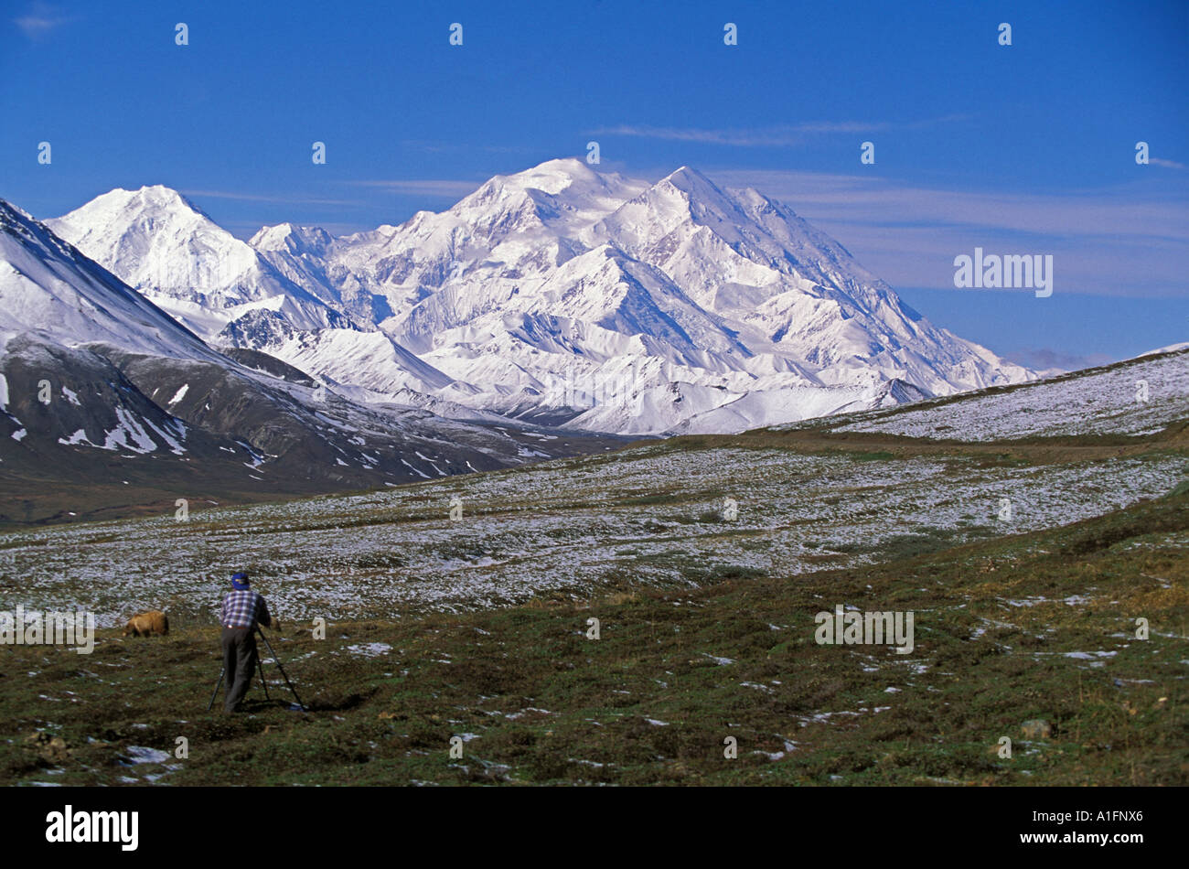 Fall Colors in Denali National Park Alaska Stock Photo - Alamy