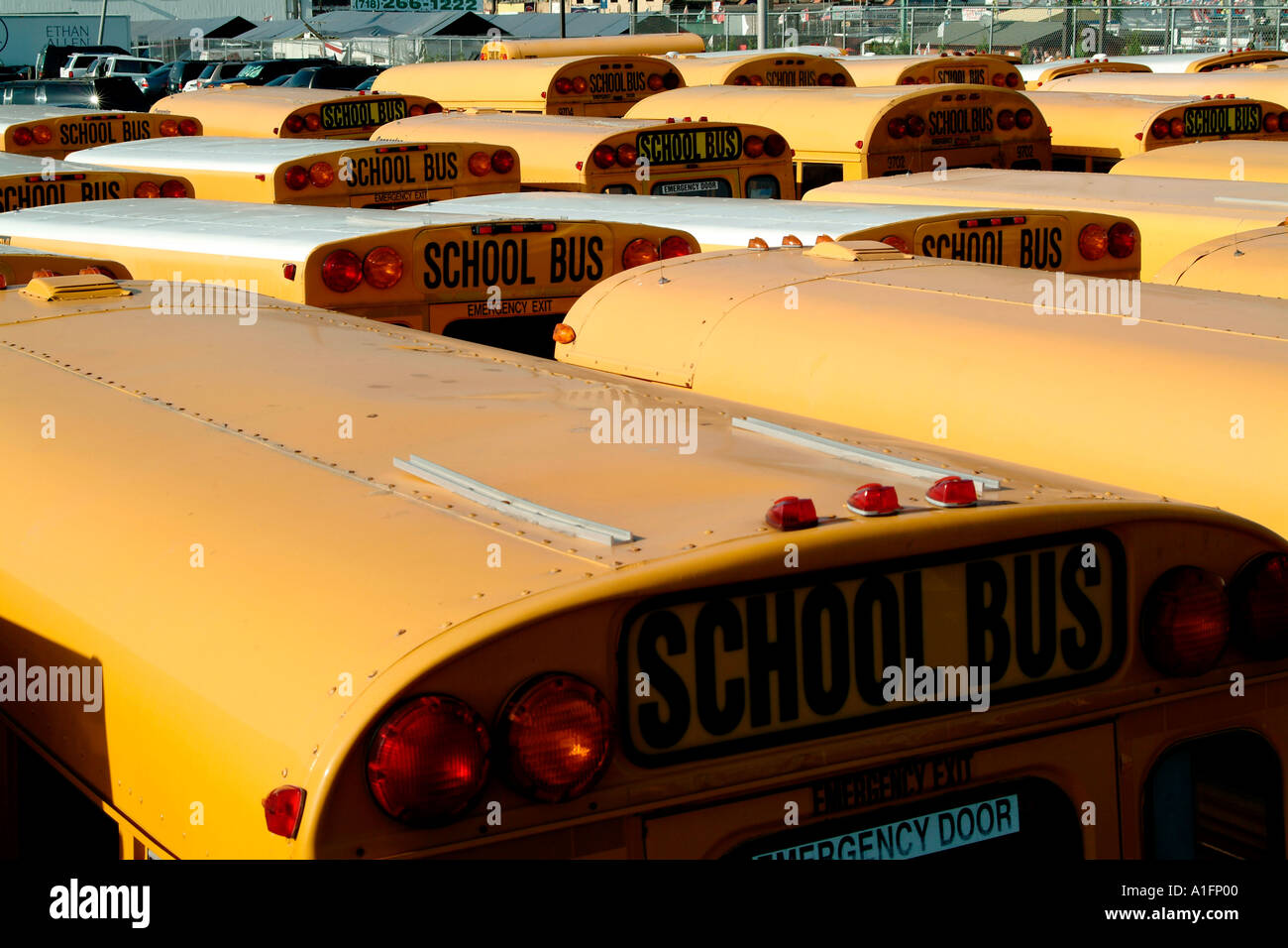 School Buses Coney Island New York City USA Stock Photo - Alamy
