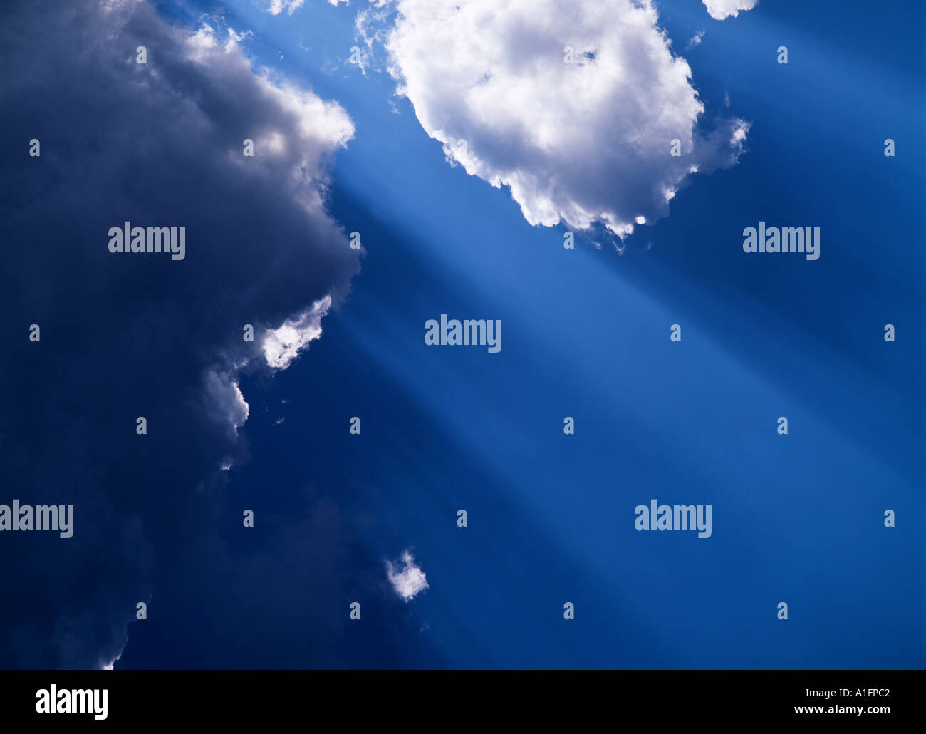 High noon sunlight hi-res stock photography and images - Alamy