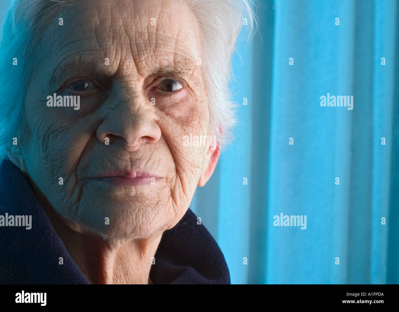 closeup studio portrait session Stock Photo - Alamy closeup studio portrait session Stock Photo - Alamy