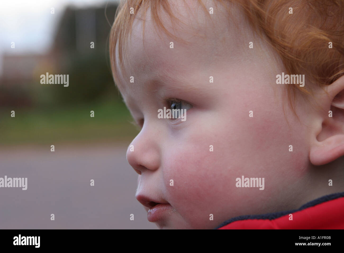 Red body warmer hi-res stock photography and images - Alamy