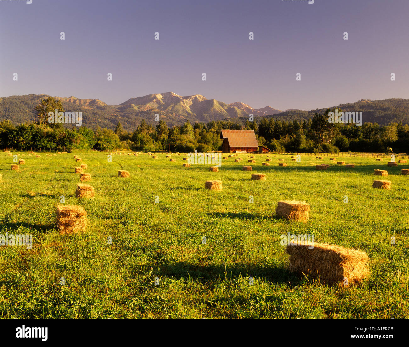 Halfway oregon hi-res stock photography and images - Alamy