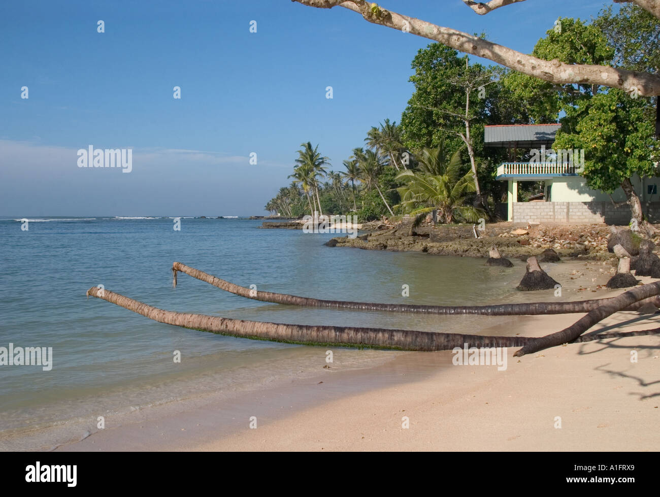 Beach. Polhena, Sri Lanka Stock Photo - Alamy