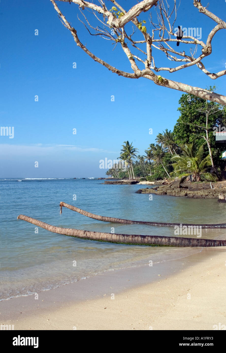 Polhena Beach High Resolution Stock Photography and Images - Alamy