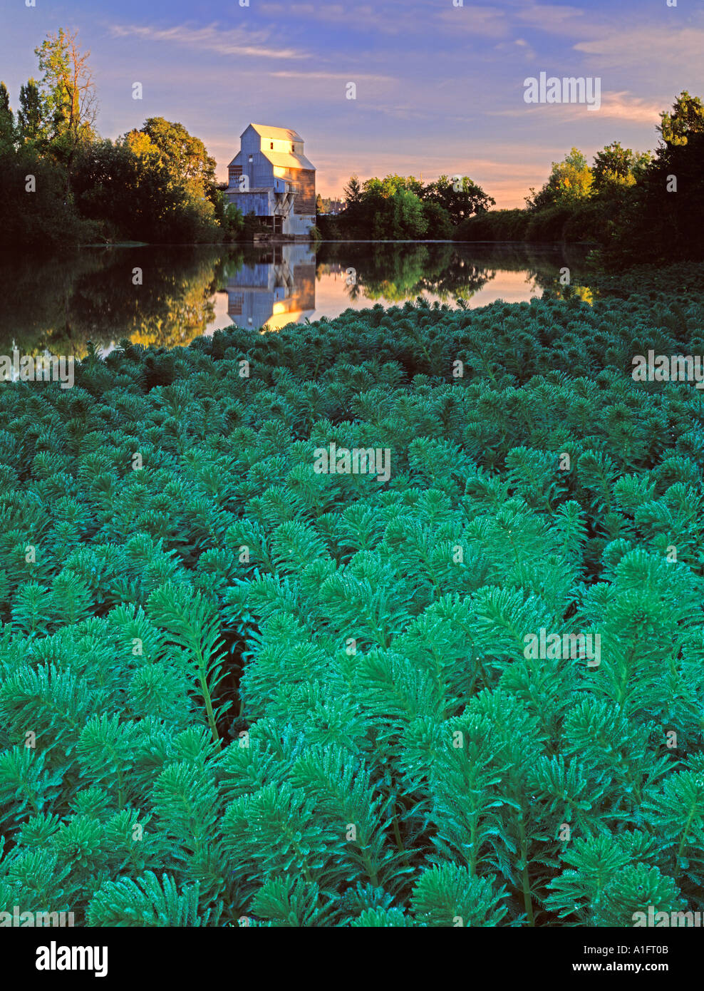 Monroe rivers hi-res stock photography and images - Alamy