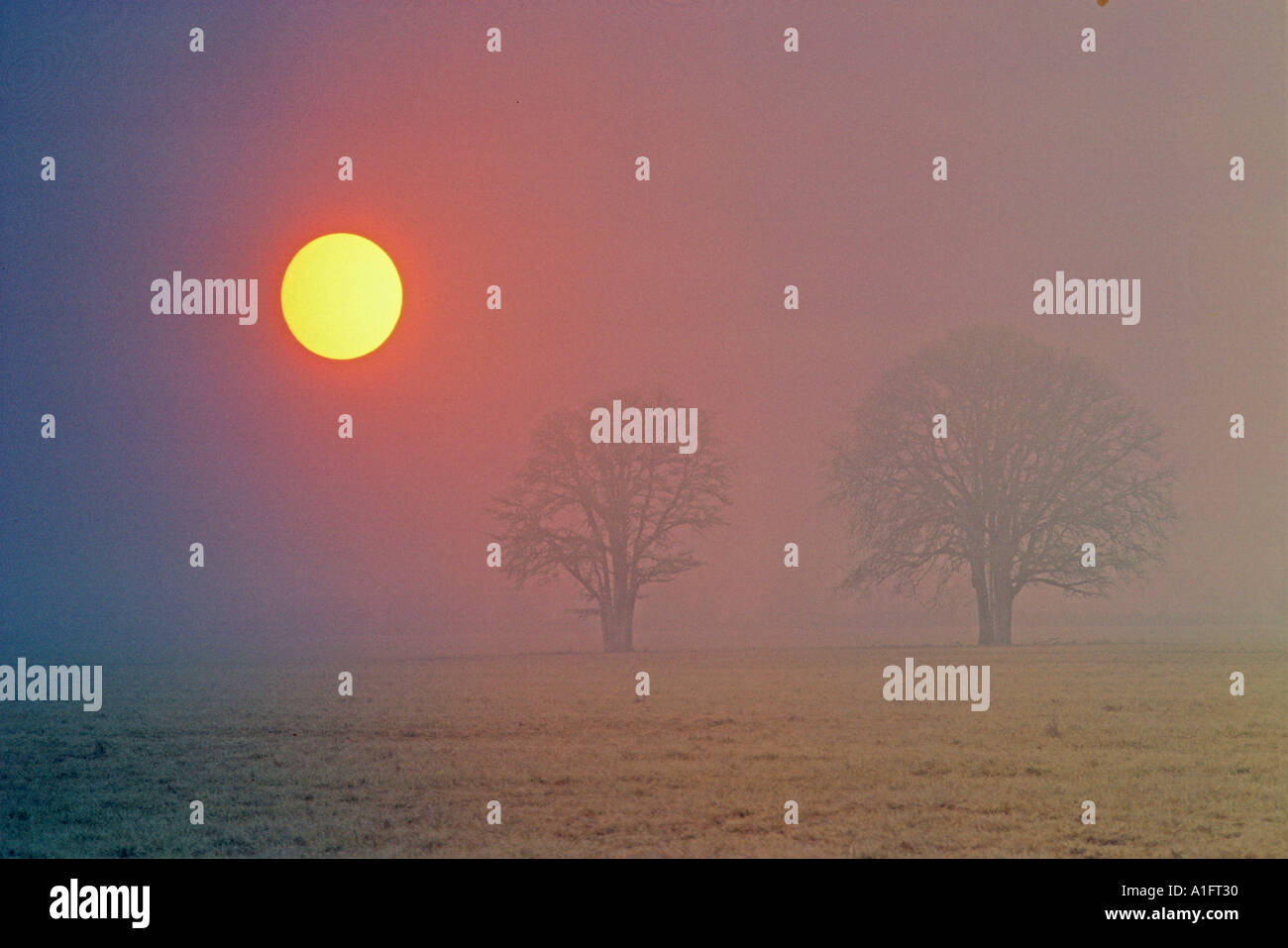 Two slides hi-res stock photography and images - Alamy