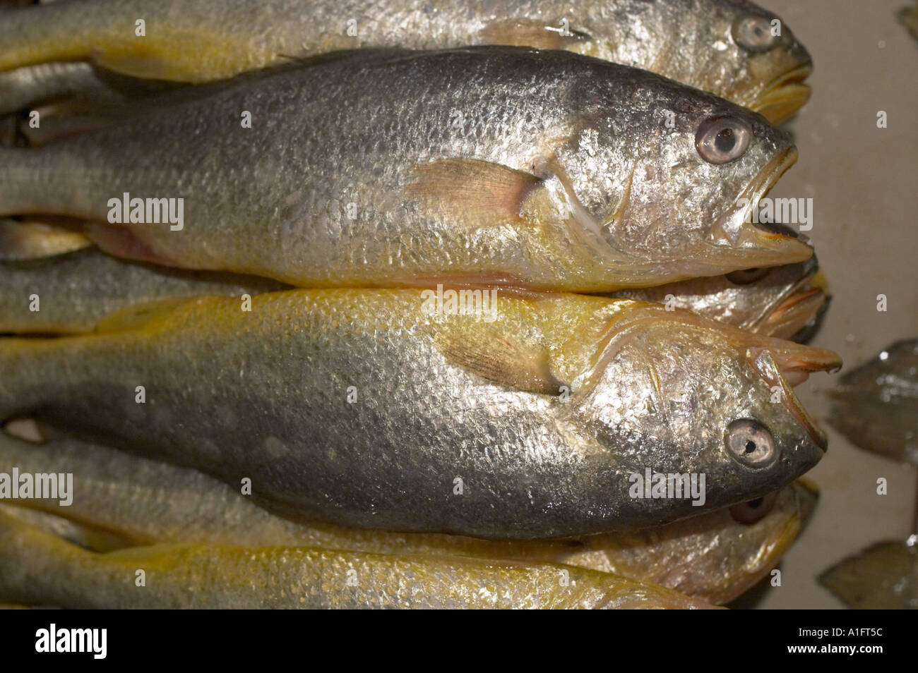 Xiangyang food hi-res stock photography and images - Alamy