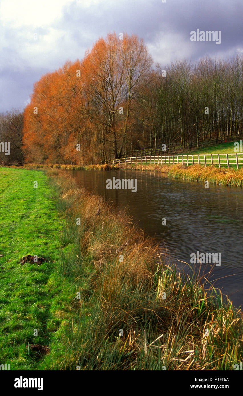 River Kennet near Axford Wiltshire England Stock Photo - Alamy