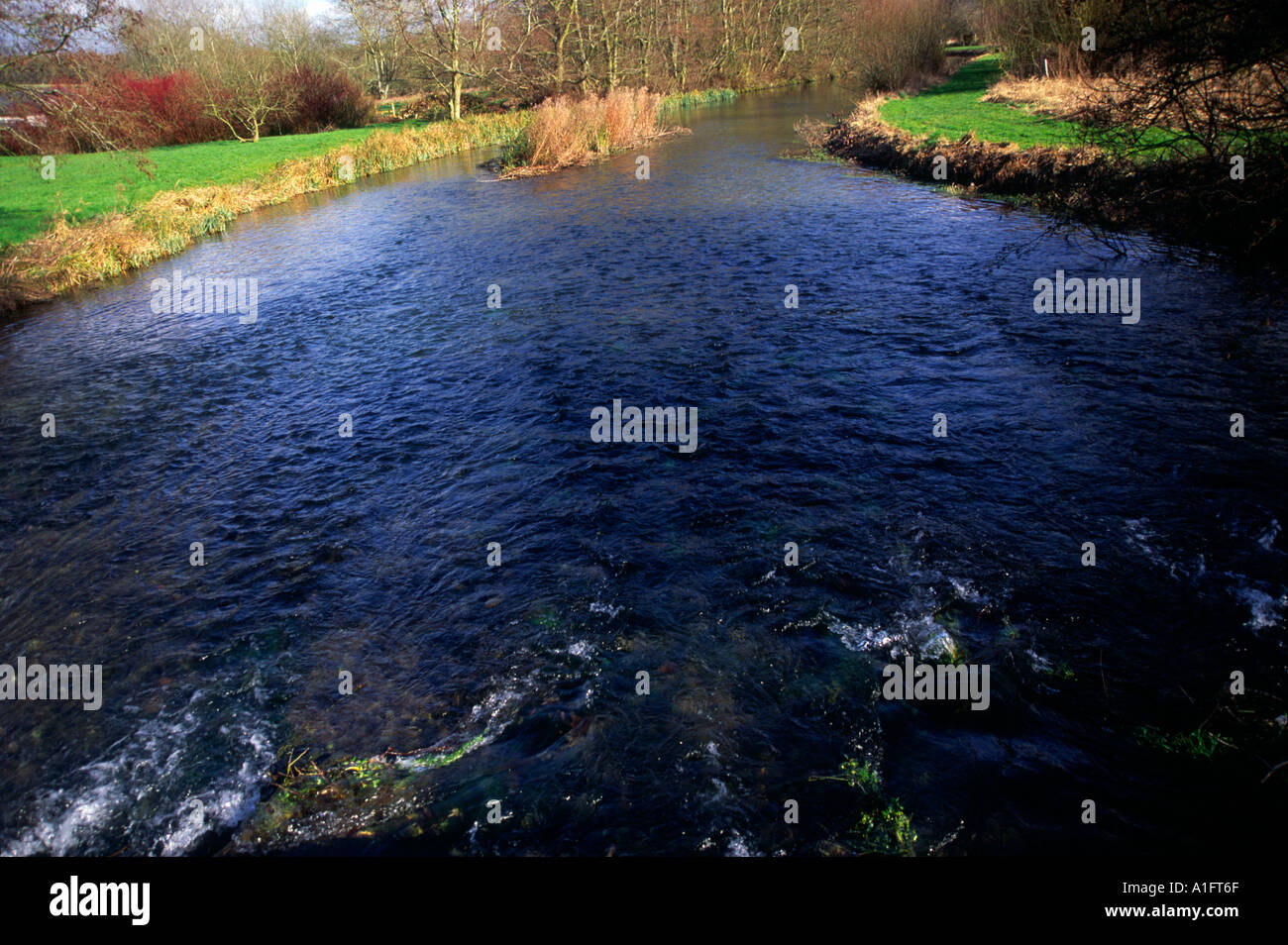 Chalk river kennet wiltshire hi-res stock photography and images - Alamy