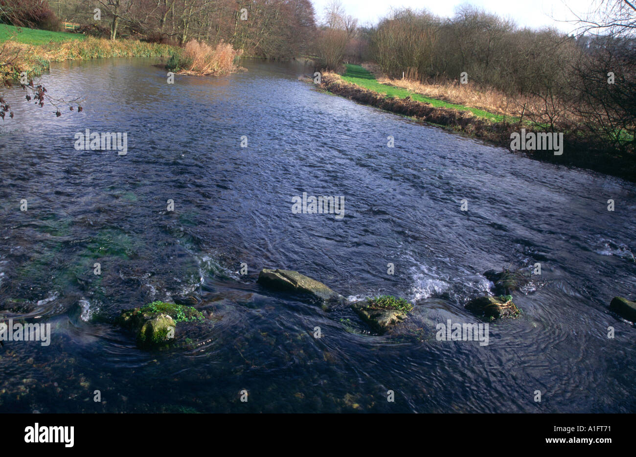 River Kennet near Axford Wiltshire England Stock Photo - Alamy