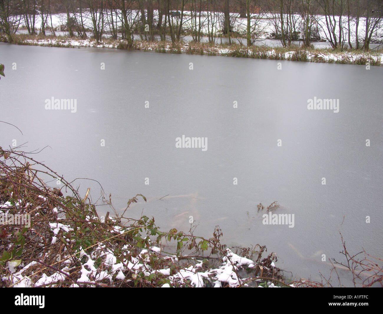 Frozen pond hi-res stock photography and images - Alamy