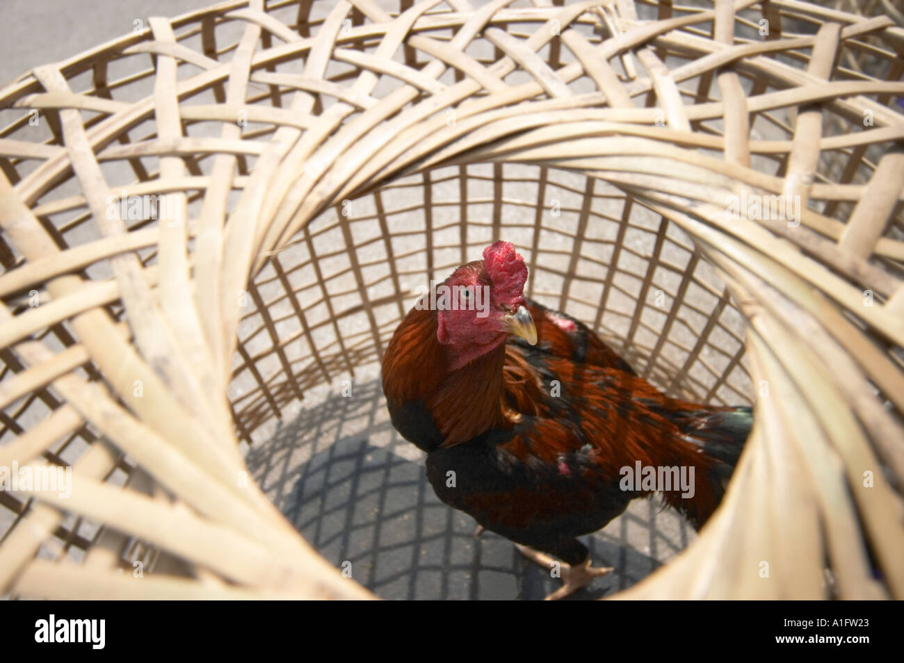 Wicker cage hi-res stock photography and images - Alamy