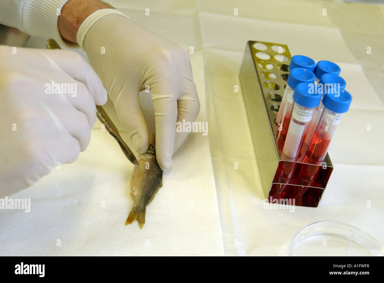 Marine engineering research hi-res stock photography and images - Alamy