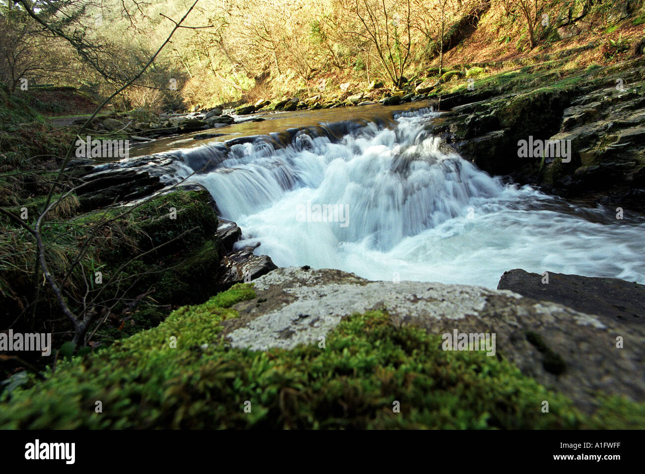 River Lyn in North Devon Britain UK Stock Photo - Alamy