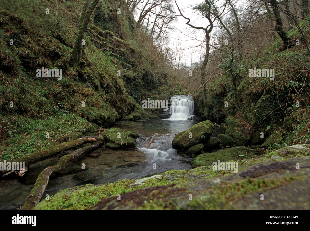 Watersmeet waterfall in devon britain hi-res stock photography and ...