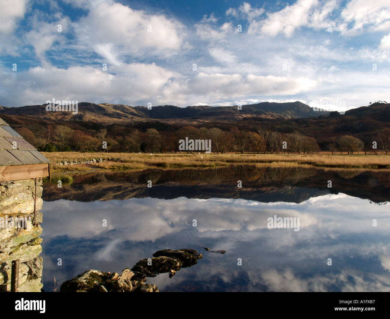 Reflections in Llyn Dinas in Autumn Cnicht Mountain Beddgelert Snowdonia North West Wales Stock ...