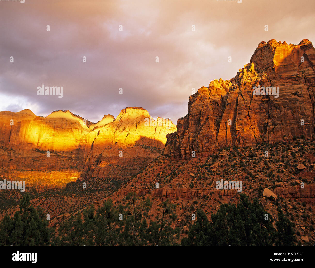 Zion Natiuonal Park sunrise AZ Stock Photo - Alamy
