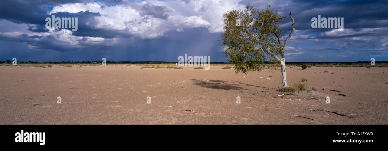 Approching thunder storm on plains in the Australian outback with a ...