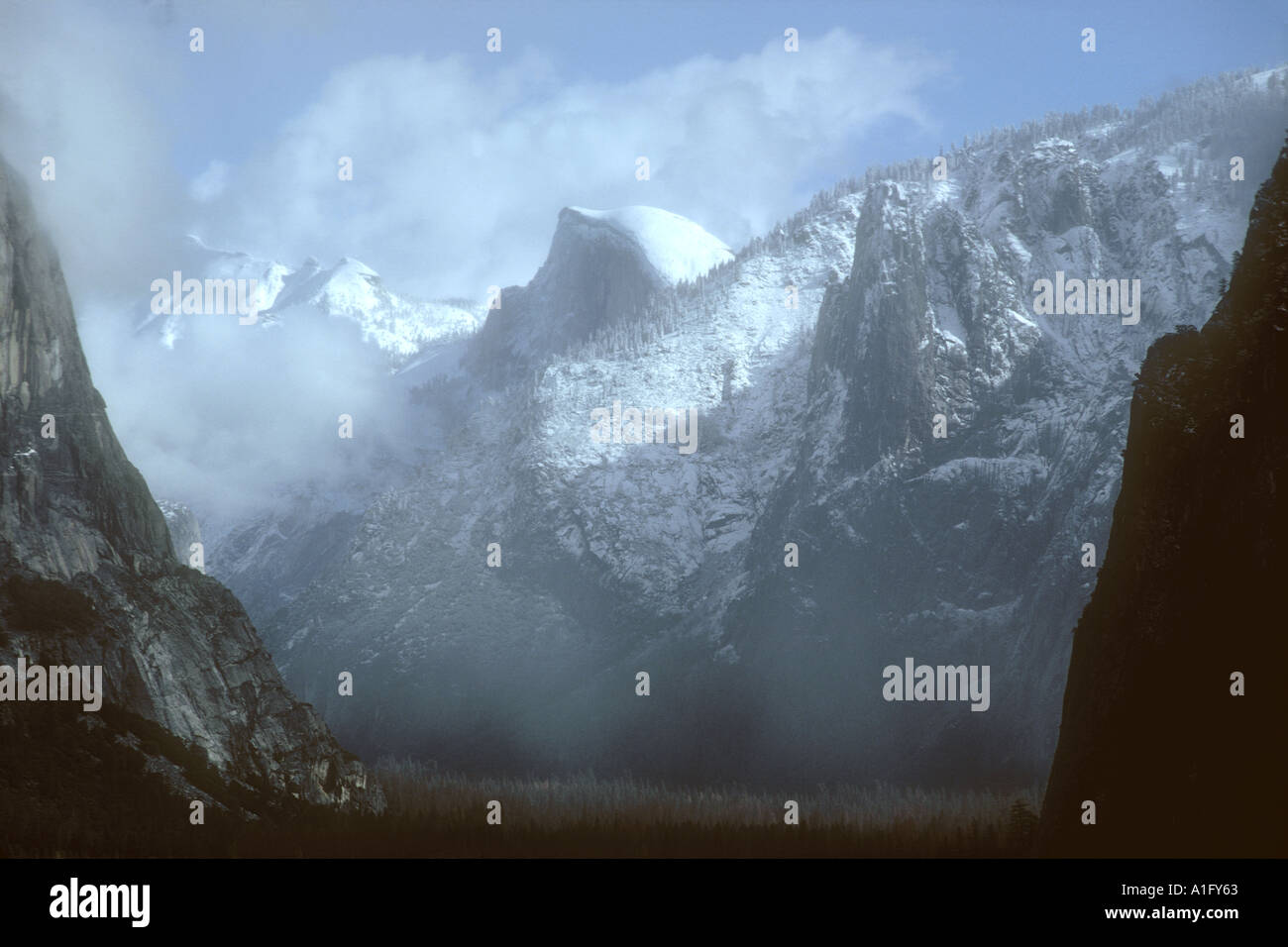 Volcanic national park leave hi-res stock photography and images - Alamy