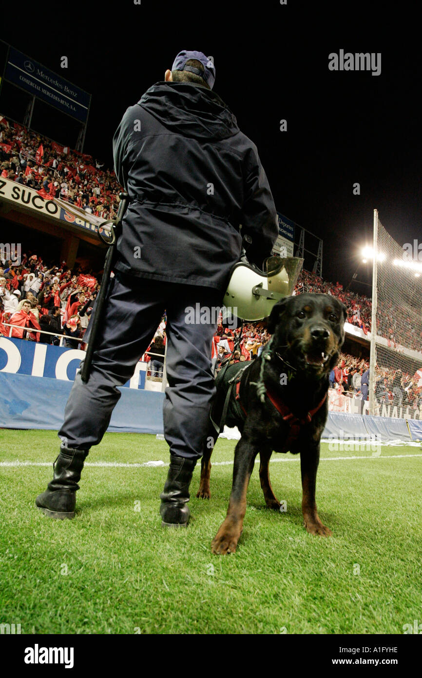 Riot policeman with dog police hi-res stock photography and images - Alamy