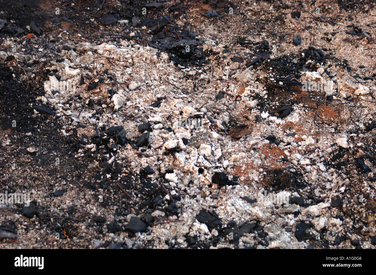 Ashes to ashes hi-res stock photography and images - Alamy