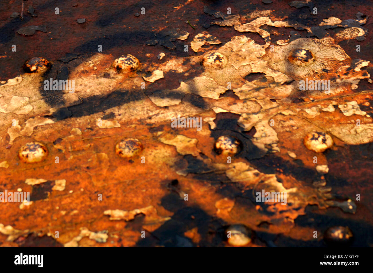 Rusty Iron Girder Stock Photo - Alamy
