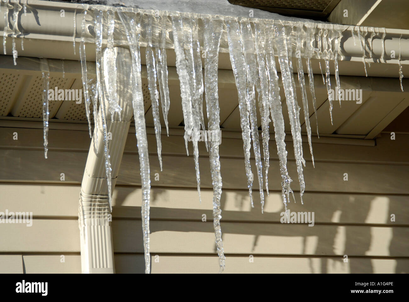 Ice cycles form as a result of temperatures going above the freezing ...