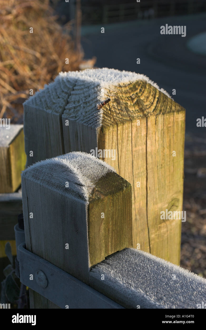 Early morning frost on gate post Stock Photo - Alamy