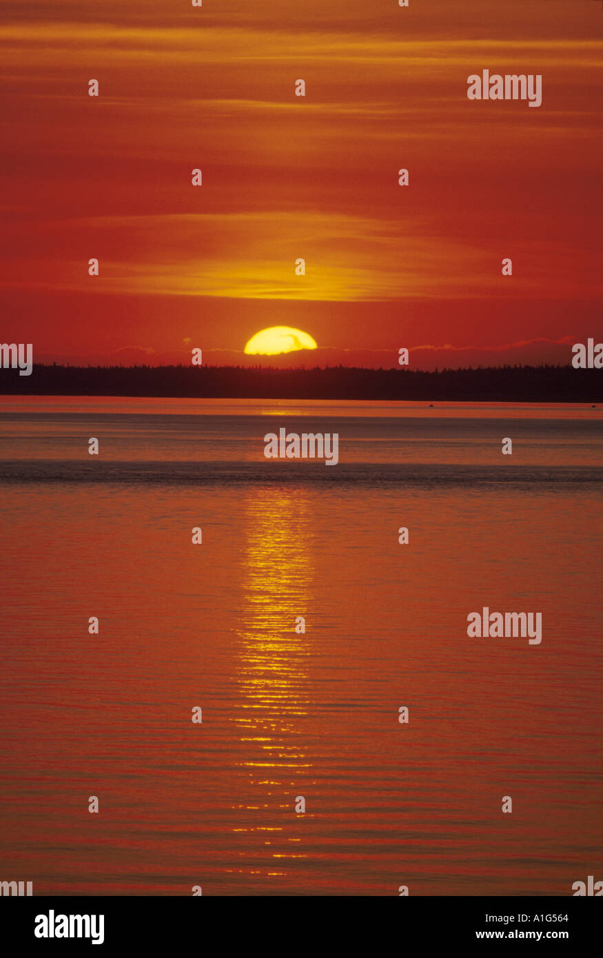 Orange free state summer landscape hi-res stock photography and images ...