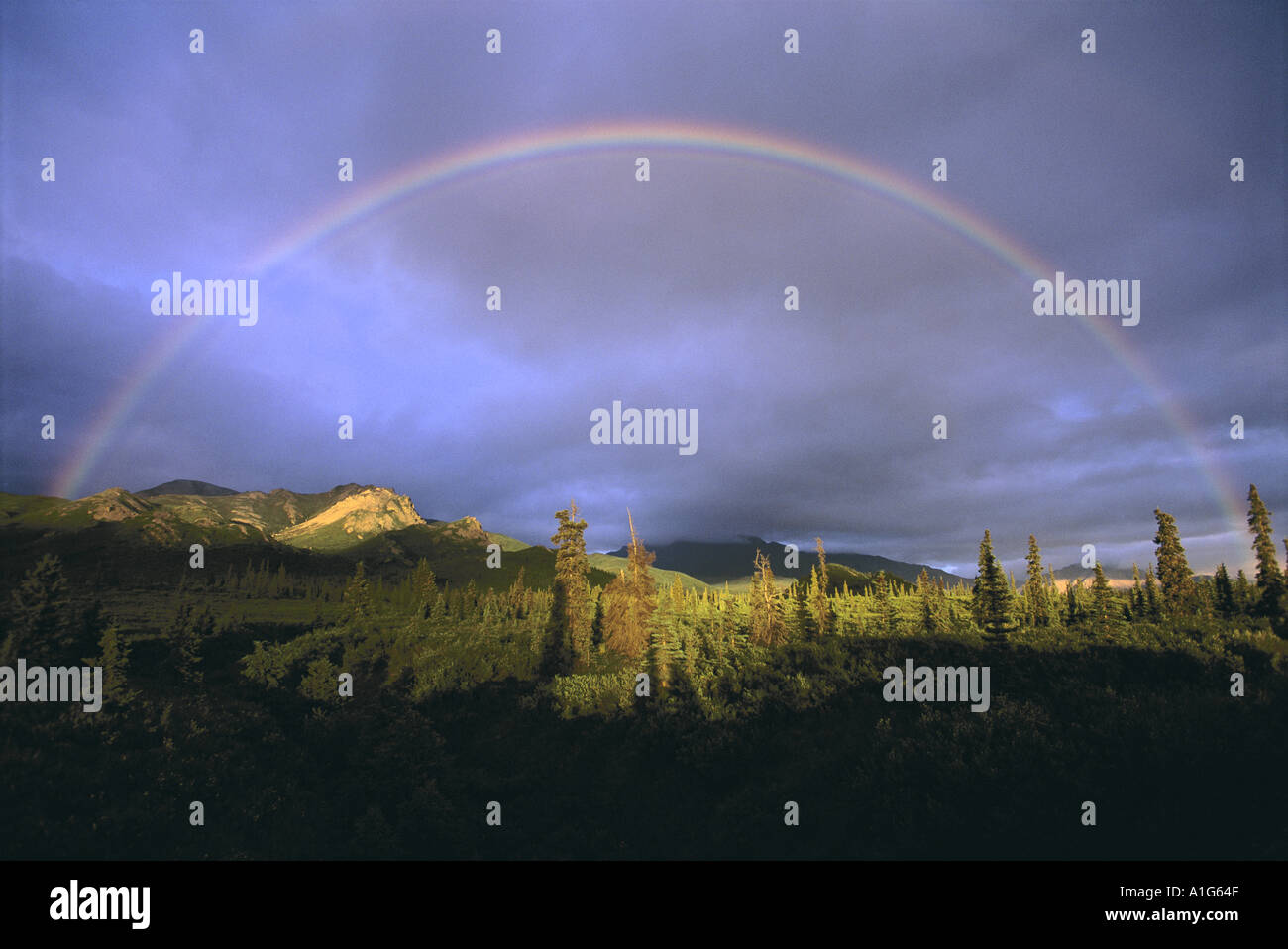 Full Rainbow Fall Denali National Park Interior AK Stock Photo - Alamy