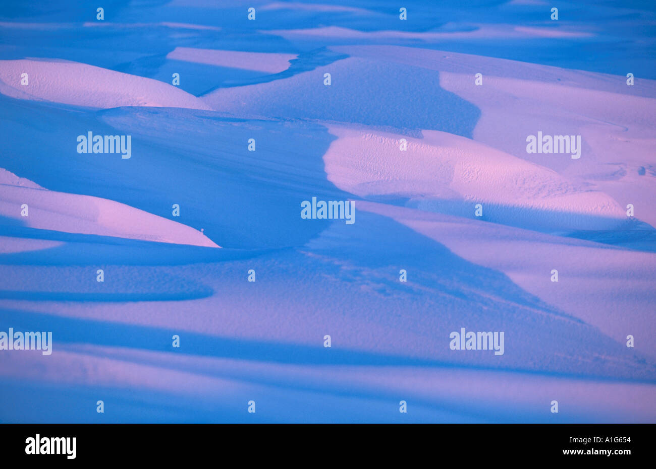 Windblown Patterns in Snow Stock Photo - Alamy