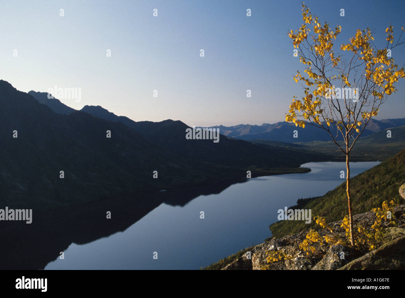 Aspen brooks hi-res stock photography and images - Alamy