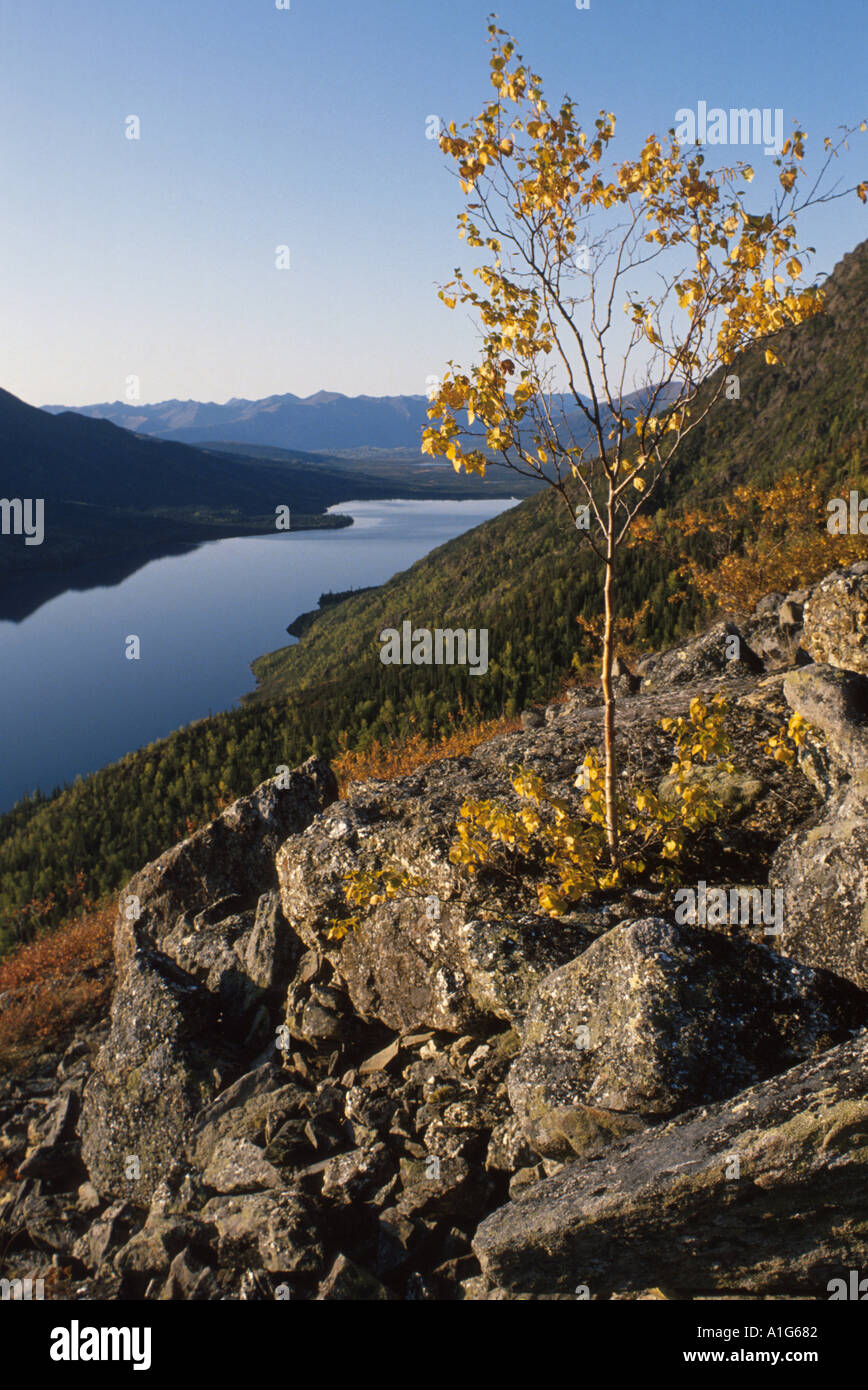 Aspen brooks hi-res stock photography and images - Alamy