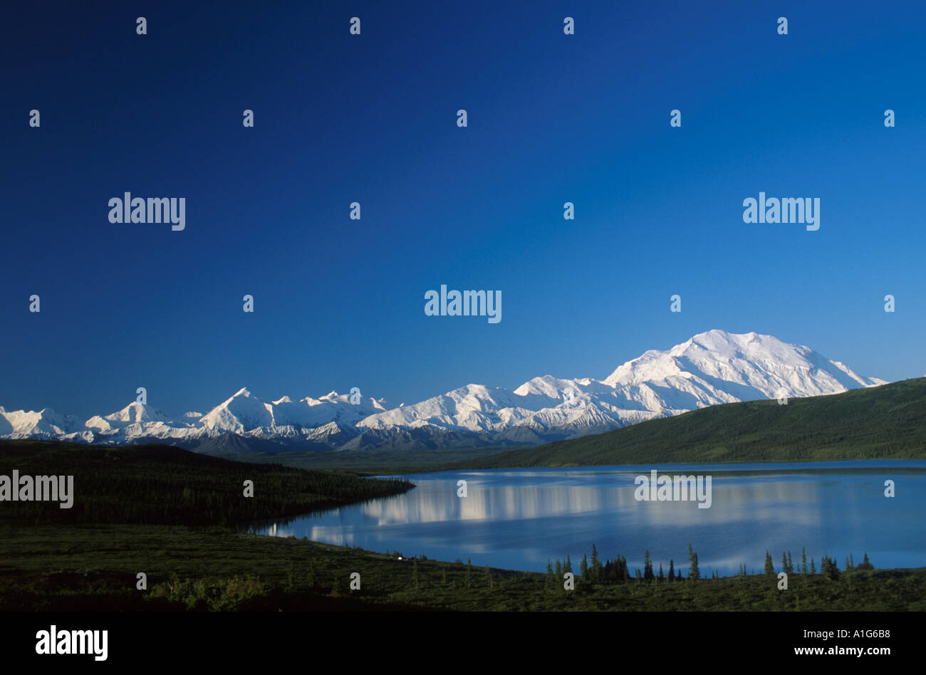 Mt McKinley Relfected in Wonder Lake Denali NP AK Stock Photo - Alamy