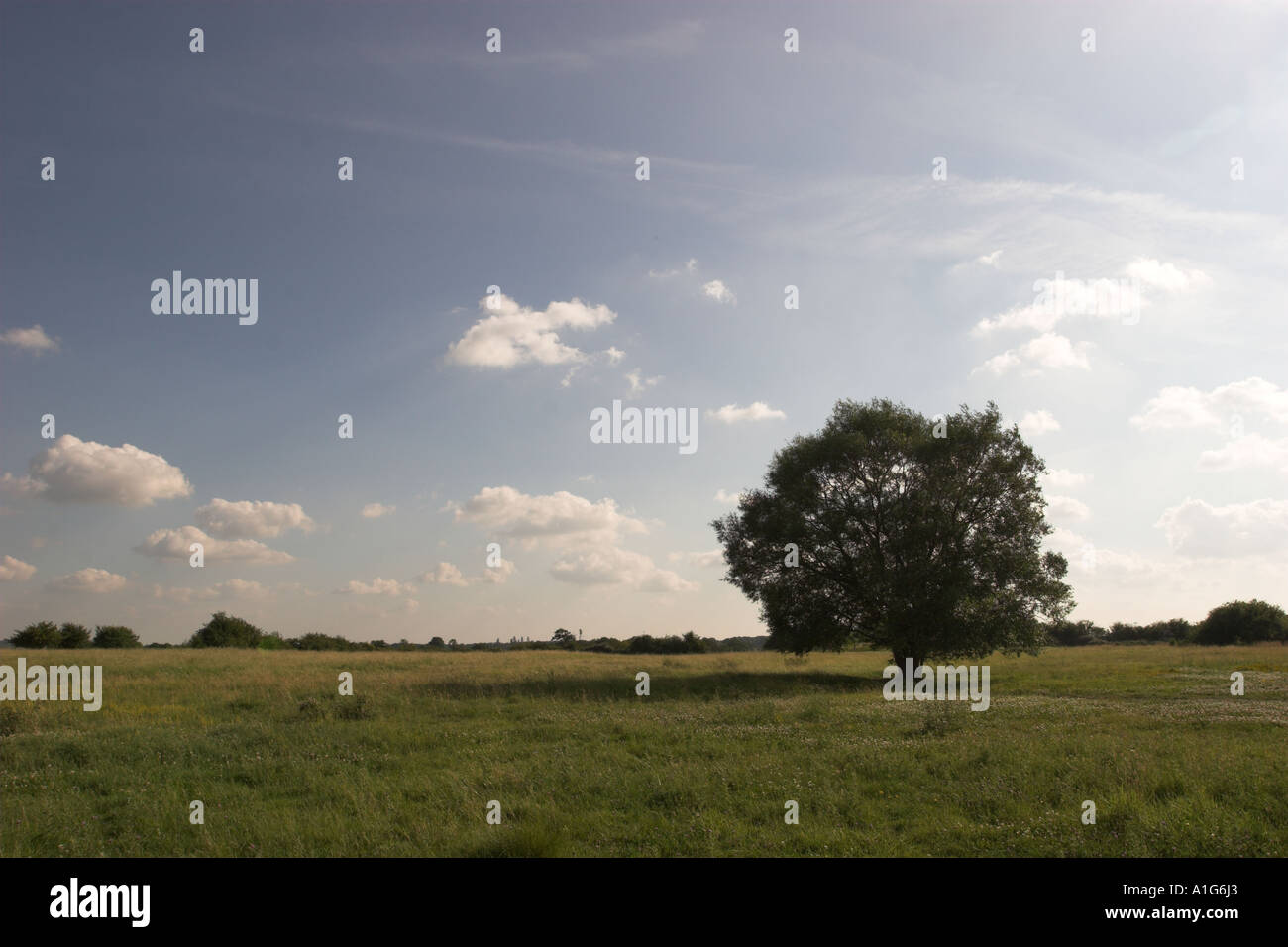 Blakehill farm nature reserve hi-res stock photography and images - Alamy