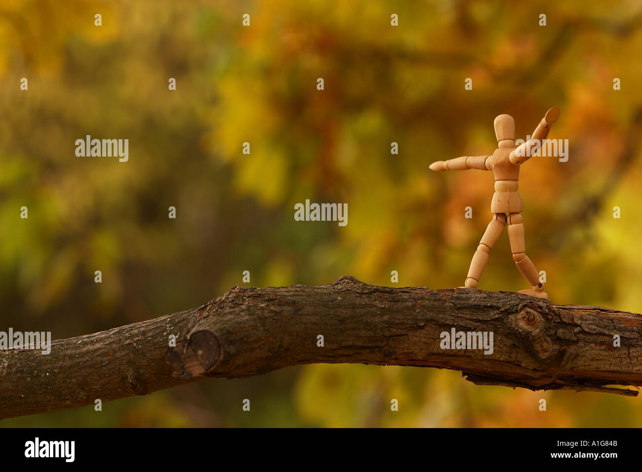 Segmented body sections hi-res stock photography and images - Alamy