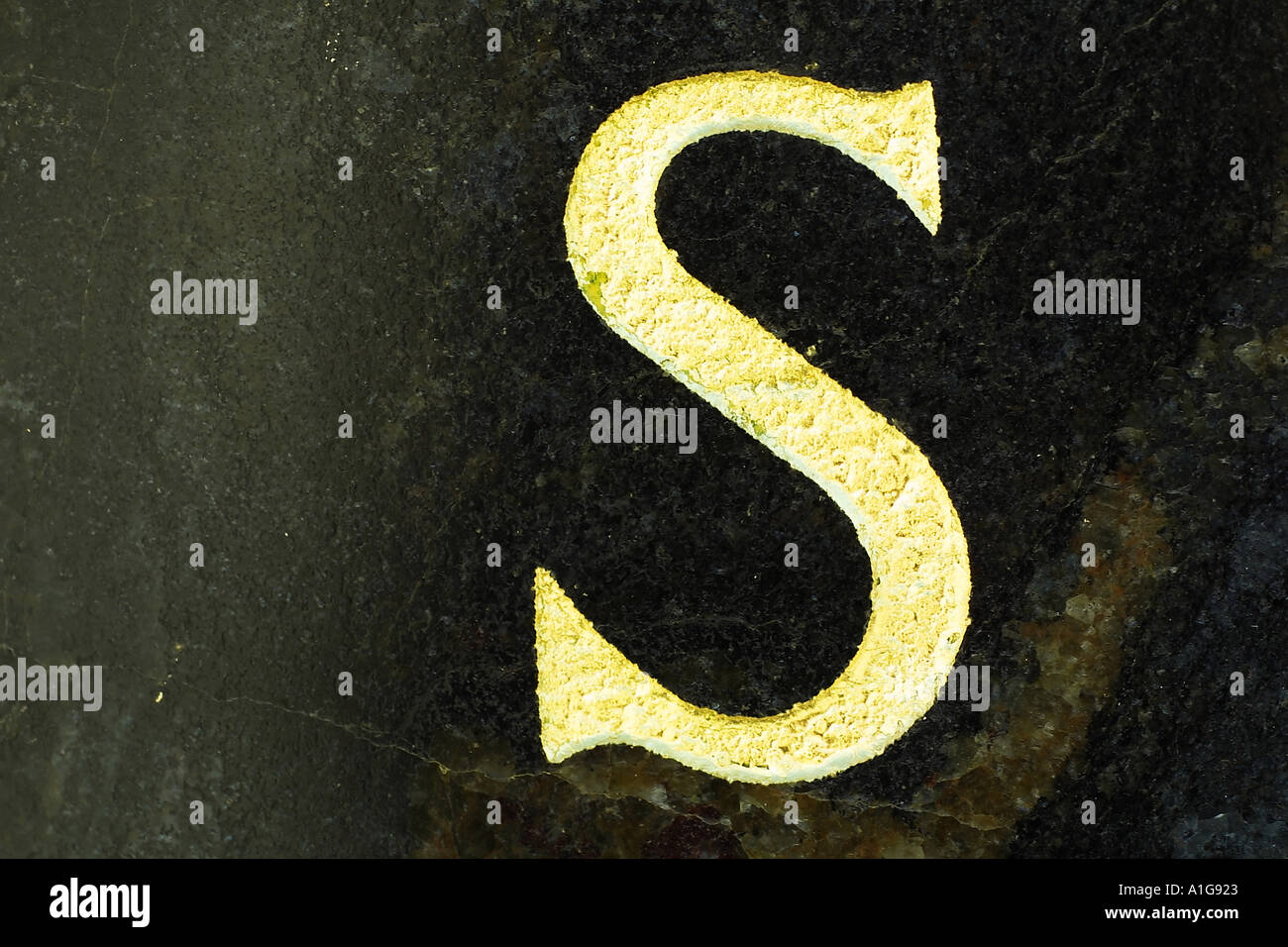 Sinewy texture hi-res stock photography and images - Alamy